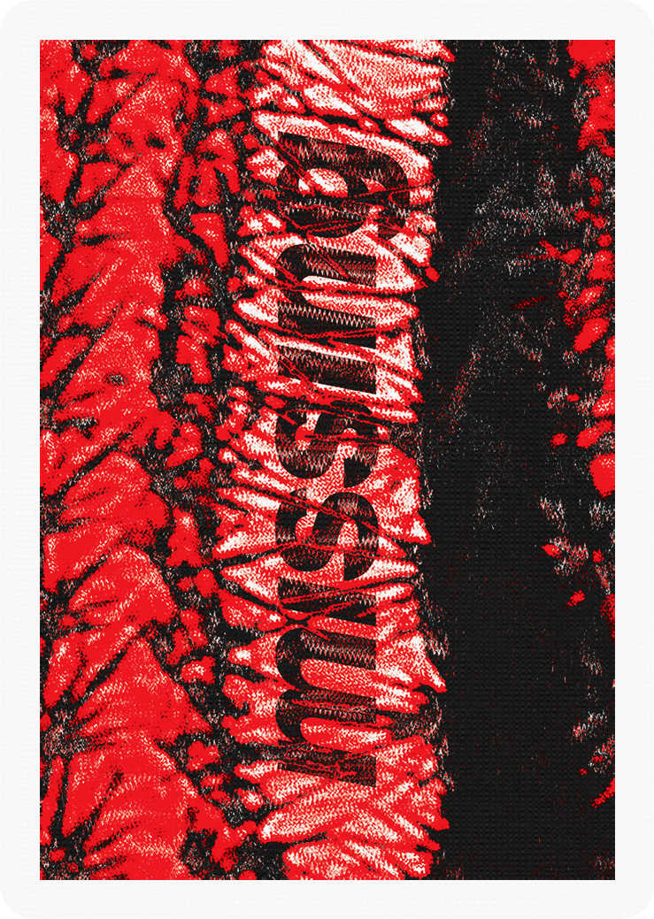 Missing Databend Edition 10 Playing Cards - Kingdom Cards